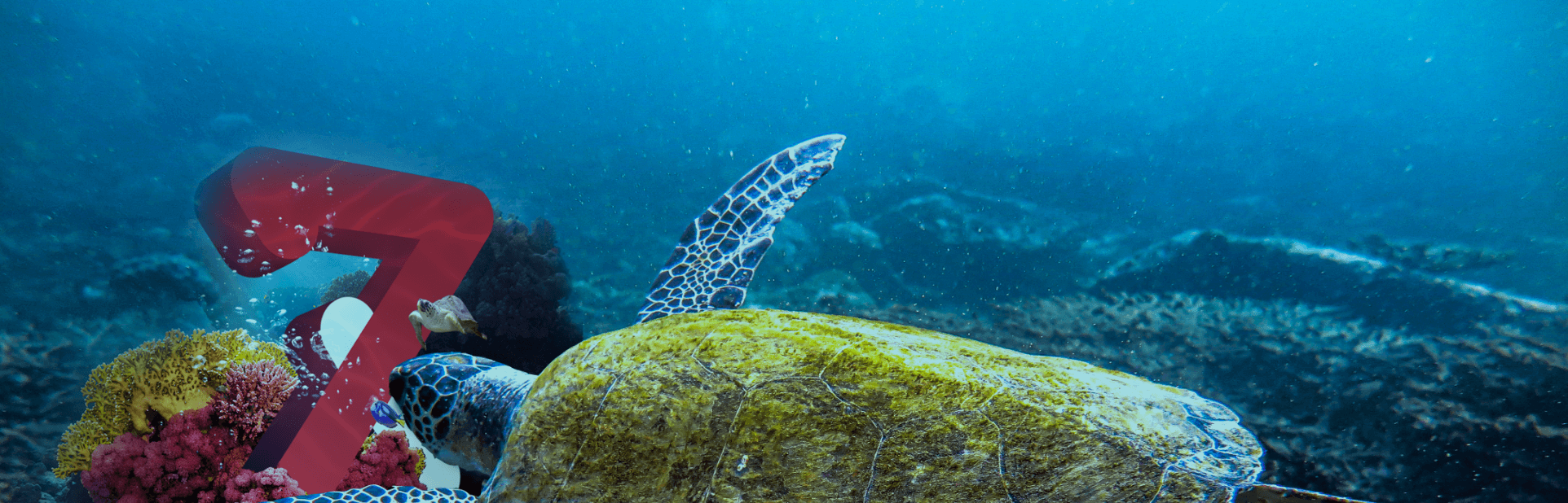 Coral Sites - Coral Reef Restoration Programme